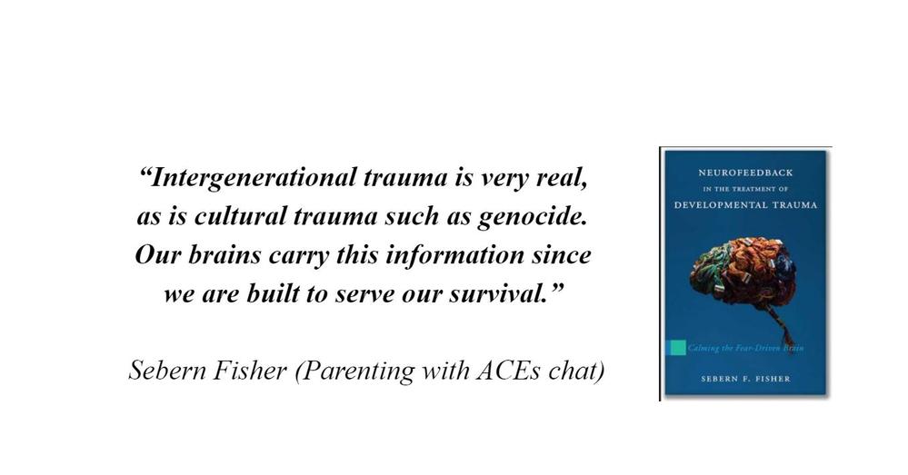 Sebern Fisher – Neurofeedback – Traumatized.com